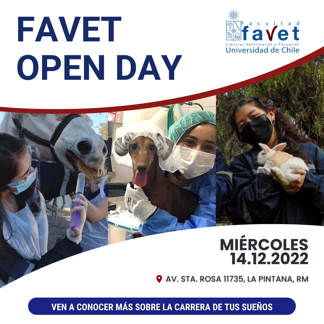 Favet Open Day 2022 - Facultad de Ciencias Veterinarias y Pecuarias ...