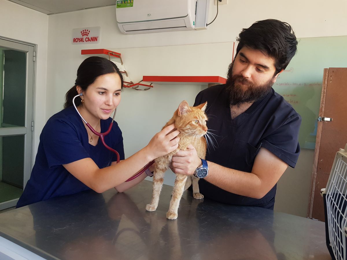 Favet refuerza plan de trabajo sobre uso de Antimicrobianos con ...